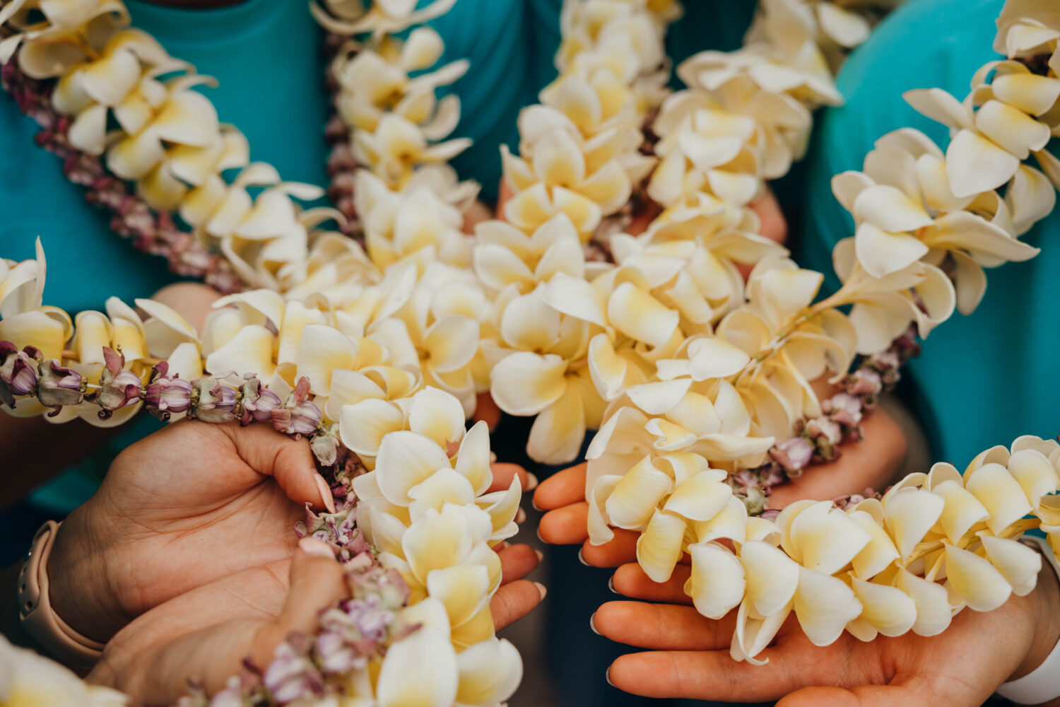 May 2024 Hawaii Island Events Calendar - 365 Hawaii Living